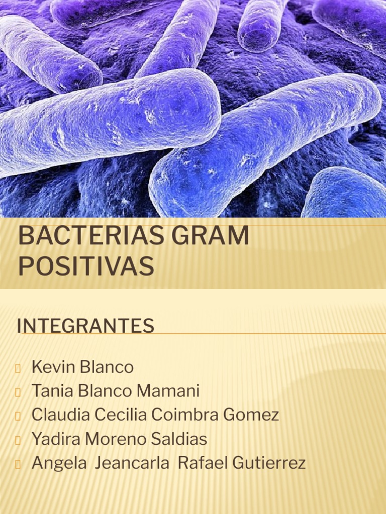 Bacterias Gram Positivas | PDF | Bacterias Gram Positivas | Penicilina