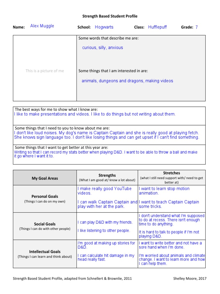 Strength-Based Student Profile Template | PDF | Dungeons & Dragons