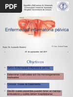 Enfermedad Pelvica Inflamatoria EPI | PDF | Enfermedades del sistema ...