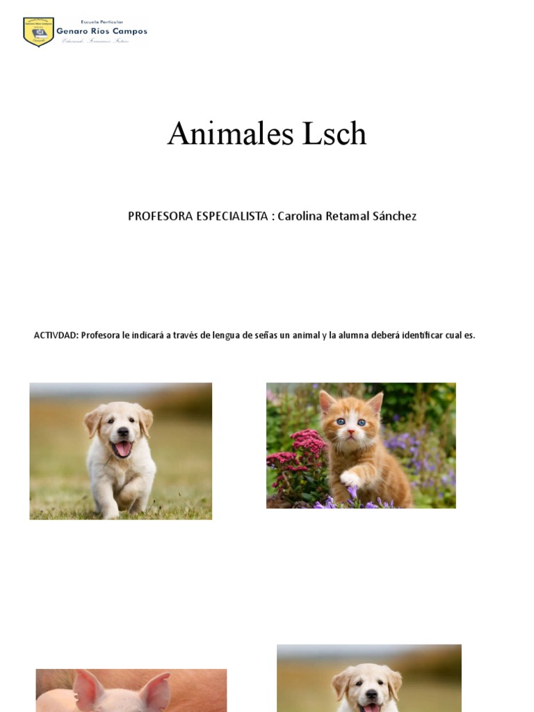 Animales LSCH | PDF