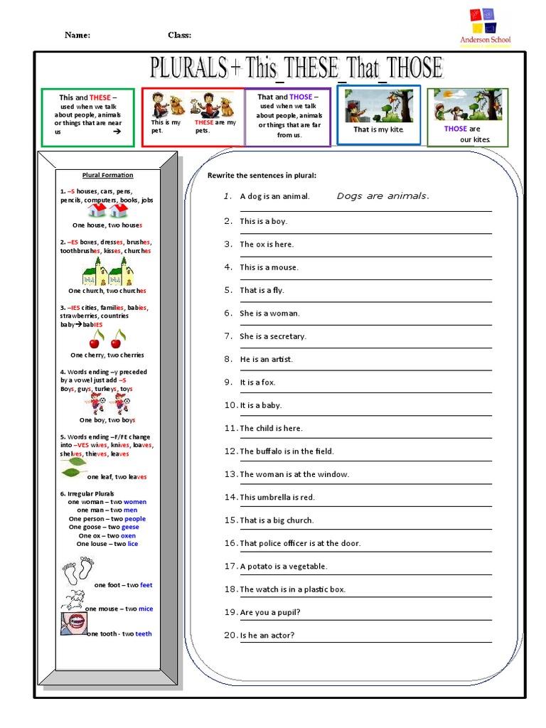 Plural Nouns Homework | PDF | Linguistic Morphology | Languages