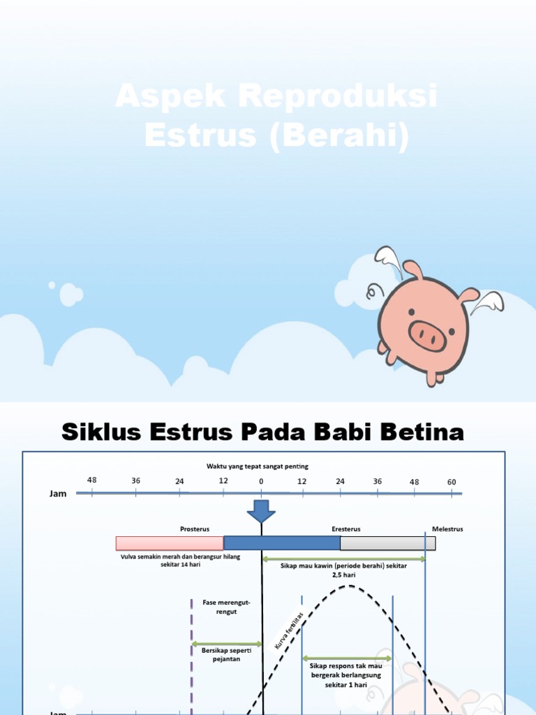 Siklus Estrus pada Babi Betina | PDF