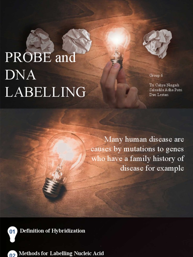 Probe and DNA Labeling | PDF | Dna | Nucleic Acids