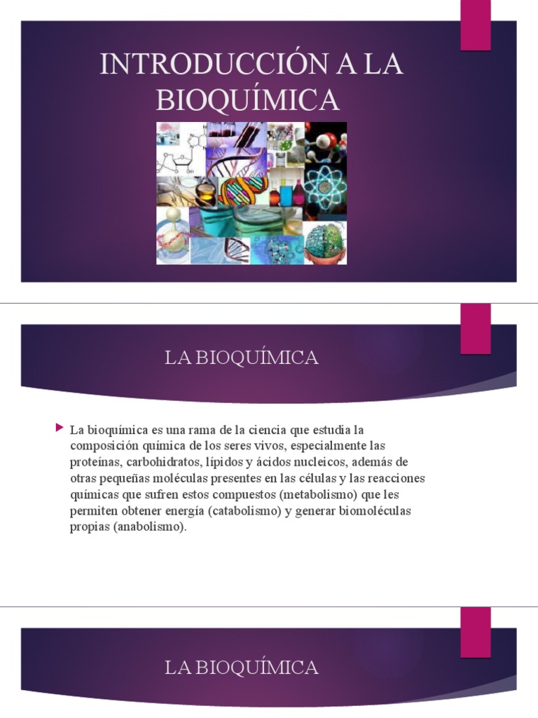 Introducción A La Bioquímica | PDF | Bioquímica | Química
