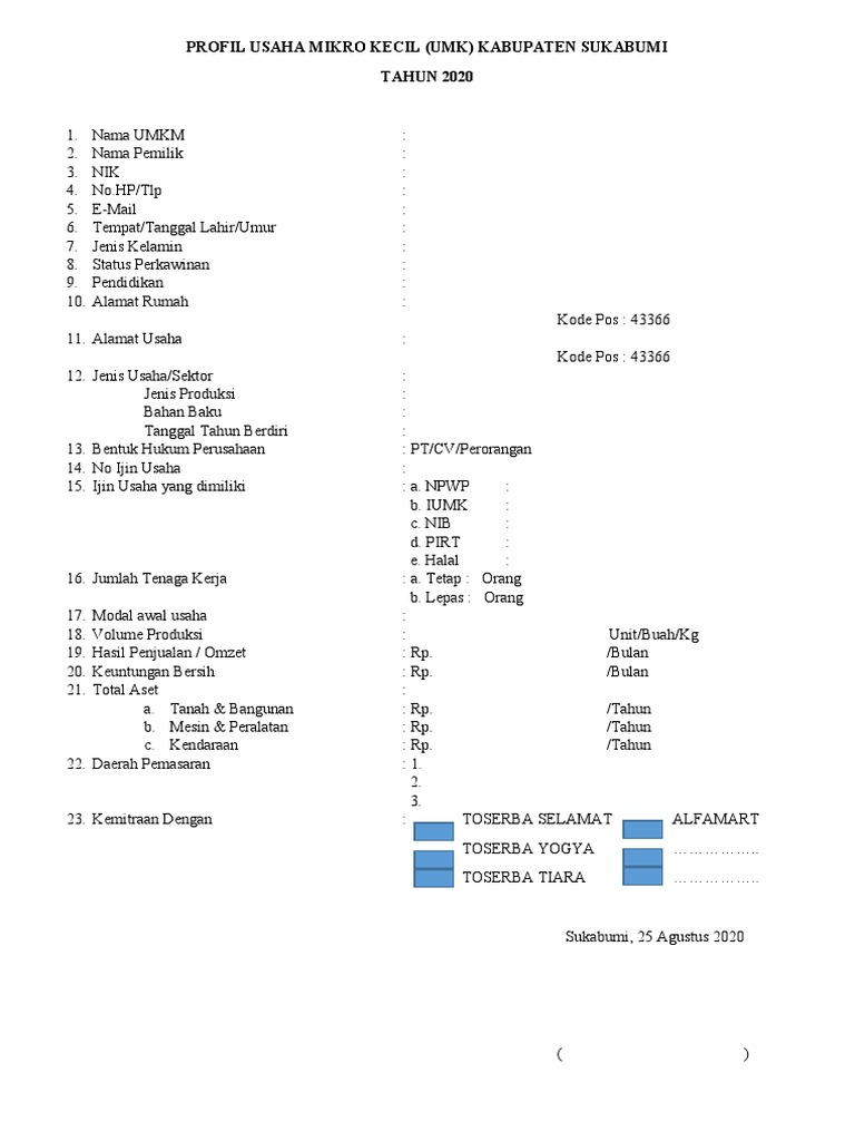 Format Pengisian Profil Usaha Mikro Kecil | PDF