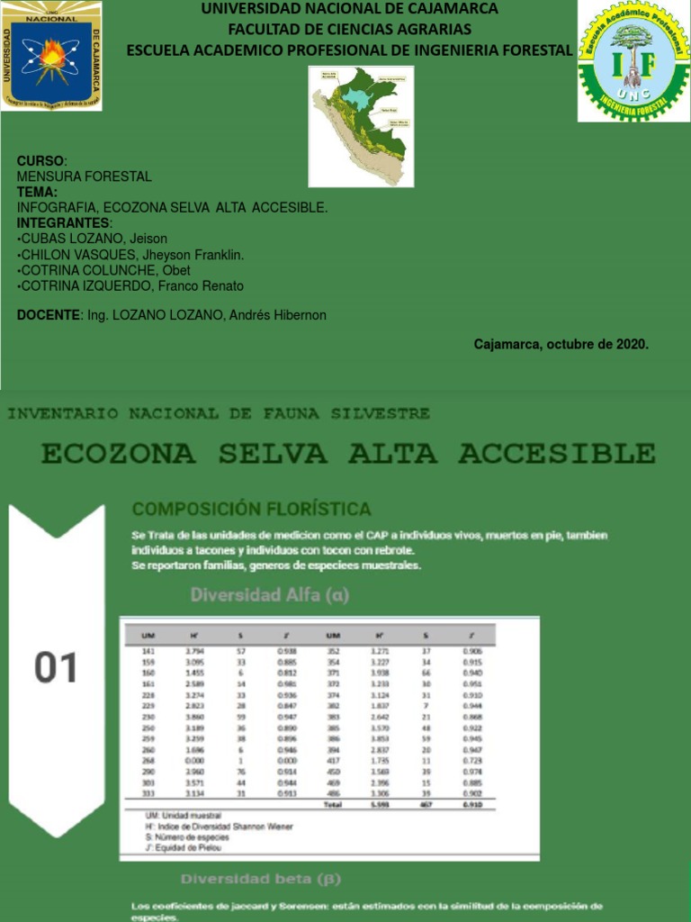 Ecozona Selva Alta Accesible | PDF | Ciencia y matemáticas | Tecnología