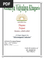 Class 12th Chemistry Project On Investigatory Test On Guava | PDF ...