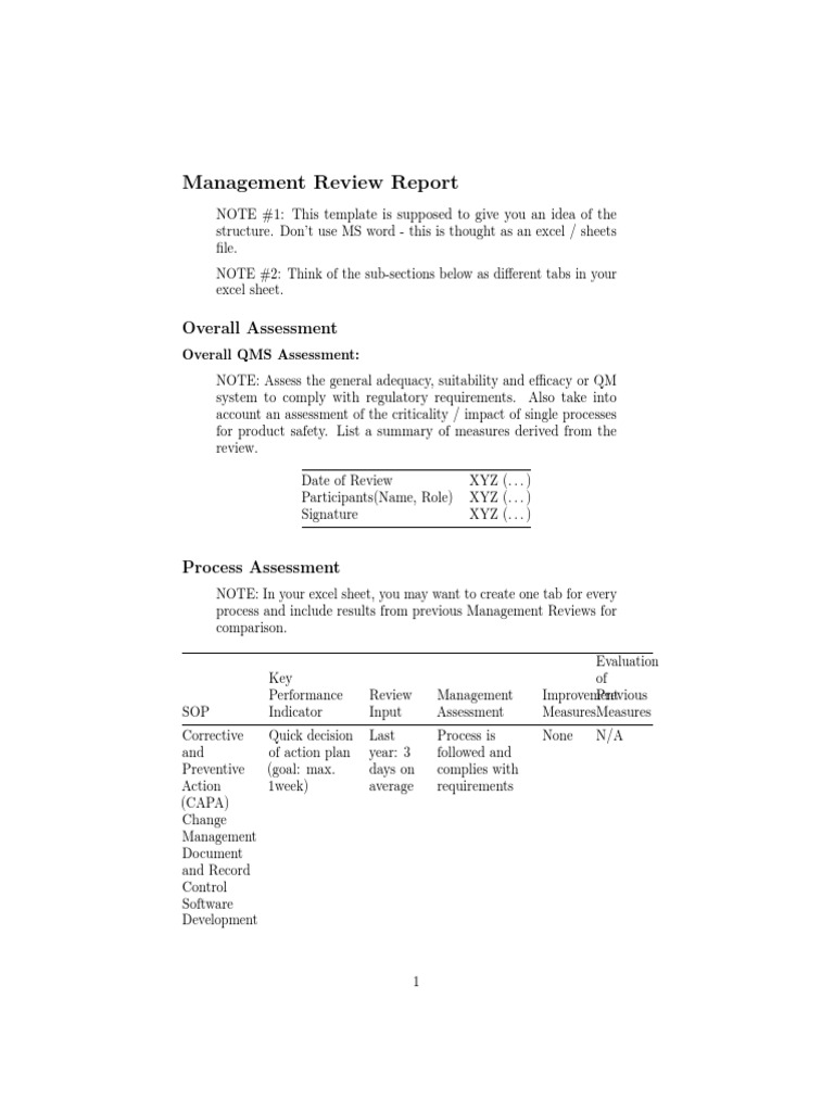 Management Review Report: Overall Assessment | PDF