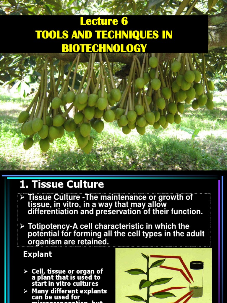Lecture 06 - Tools and Techniques in Biotechnology | PDF | Polymerase ...