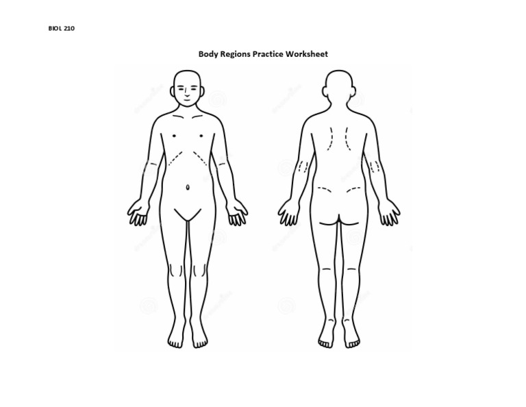 printthis-usetotestyourself-body-regions-worksheet-pdf