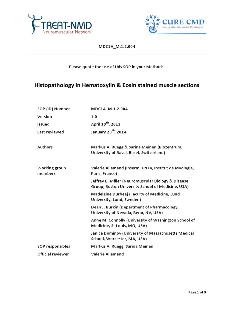 H&E Staining for Muscle Histopathology | PDF | Staining | Chemistry