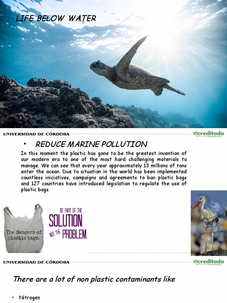 Slides of Life Below Water | PDF