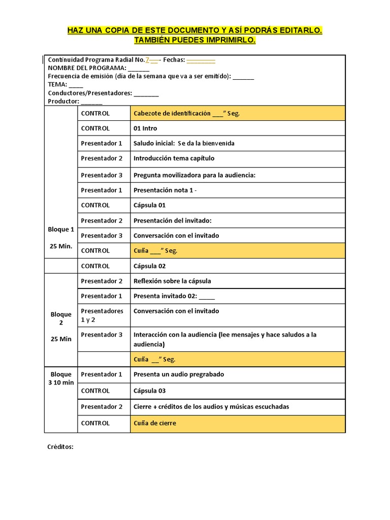 Formato Continuidad | PDF