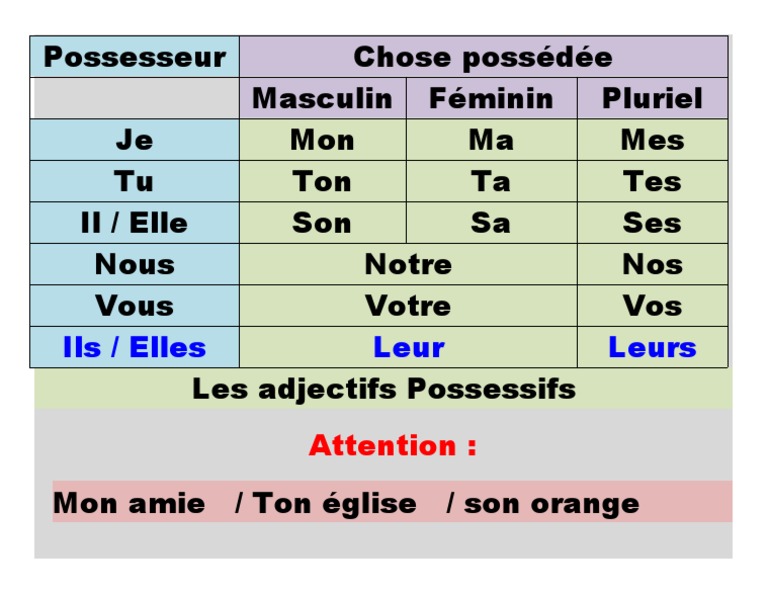 Grammaire Les Adjectifs Possessifsles Pronoms Possessifs Le FLE En Un