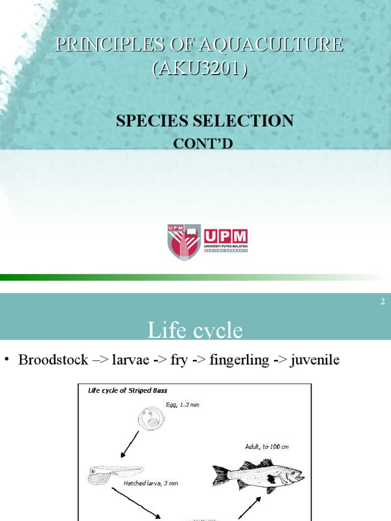 Lect 2-Intro Continued | PDF