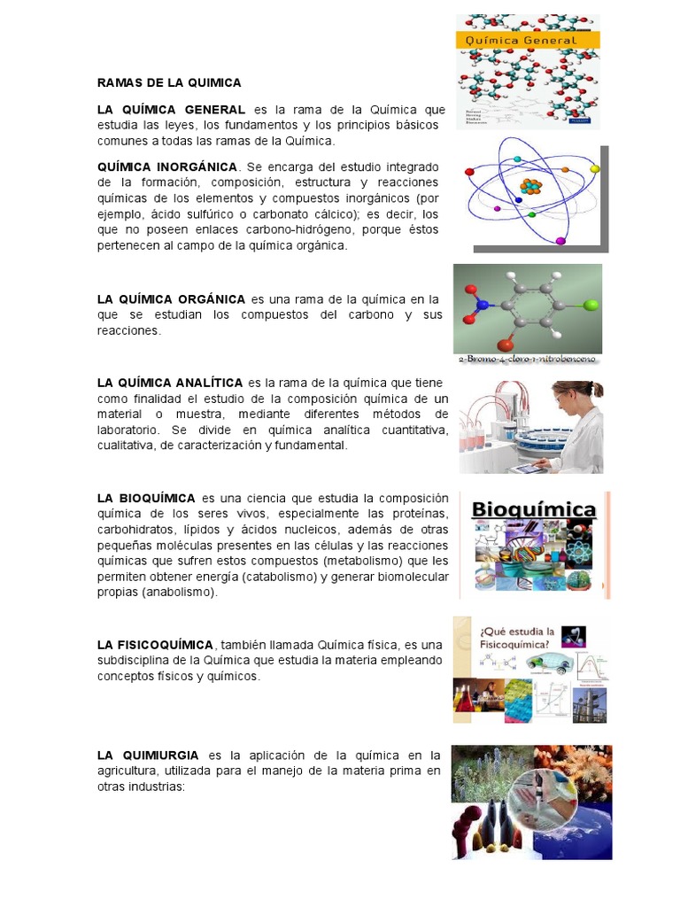 Ramas de La Quimica | PDF