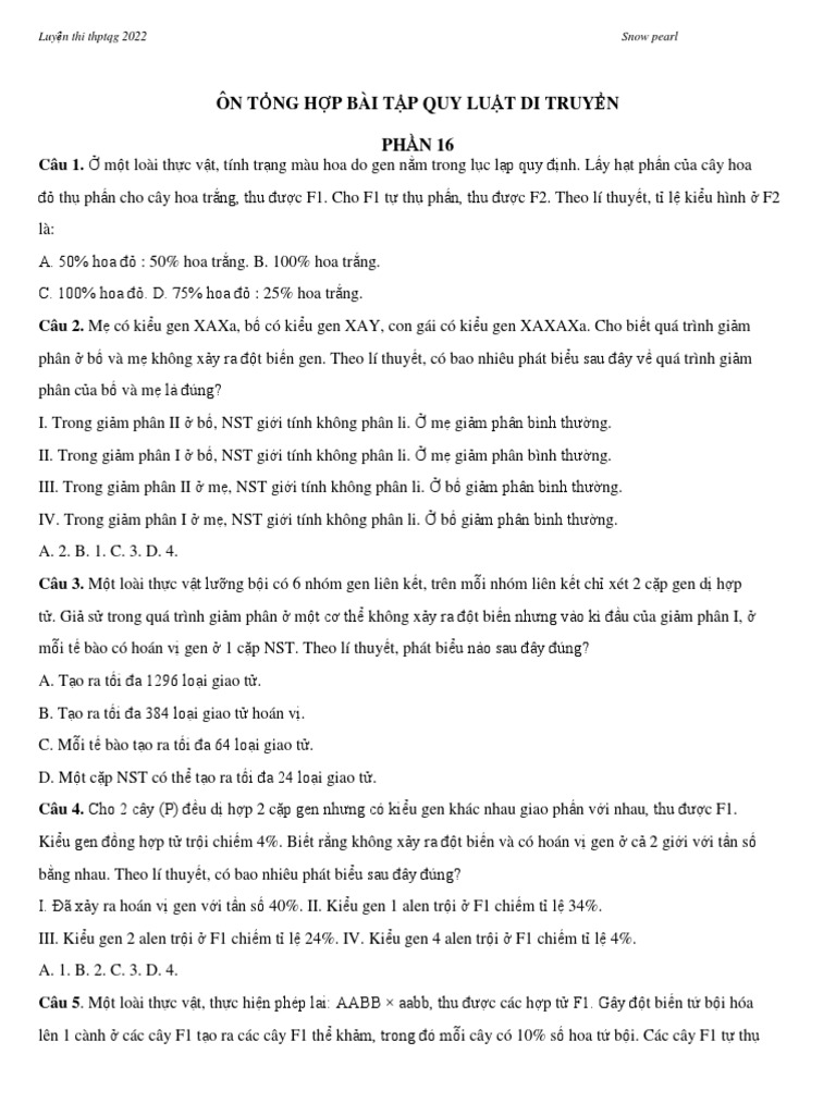 p16 BT-QLDT HSM | PDF