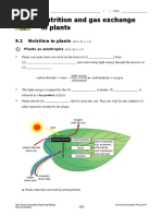 Measuring Transpiration with a Potometer | PDF | Leaf | Stoma