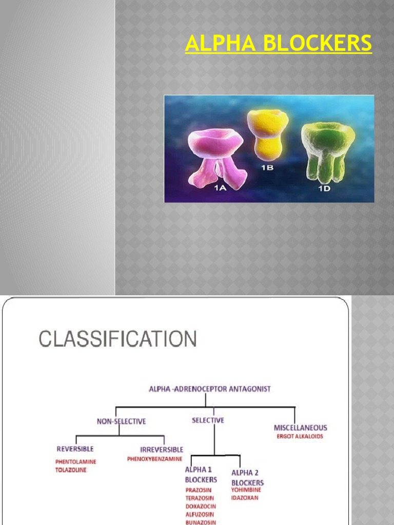 Alpha Blockers | PDF | Medicine | Drugs