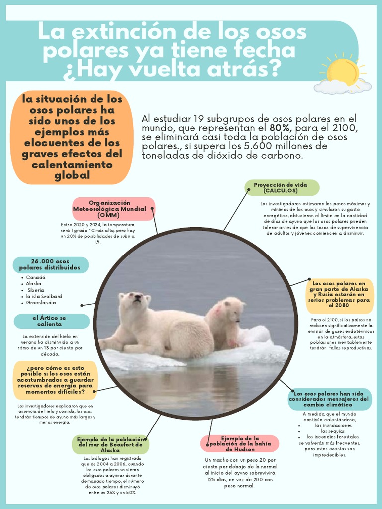Plan Lector Mate | PDF | Oso polar | Osos