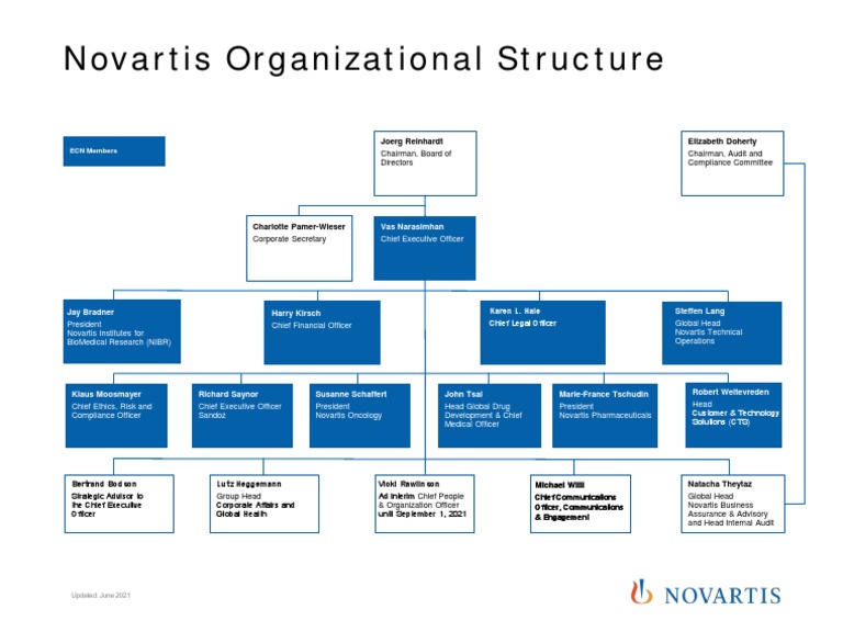 Novartis Org Chart | PDF | Novartis | Business Process