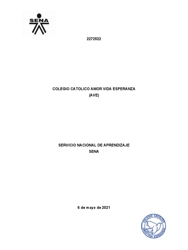 Informe Sena-Fase Analisis | PDF