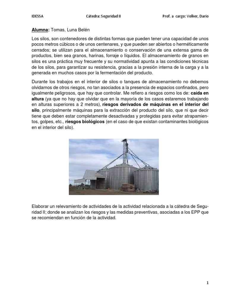Trabajo Practico N°1 (Planta de Silos) - Seguridad II - Tomas, Luna Belén | PDF | Polvo | Oxígeno