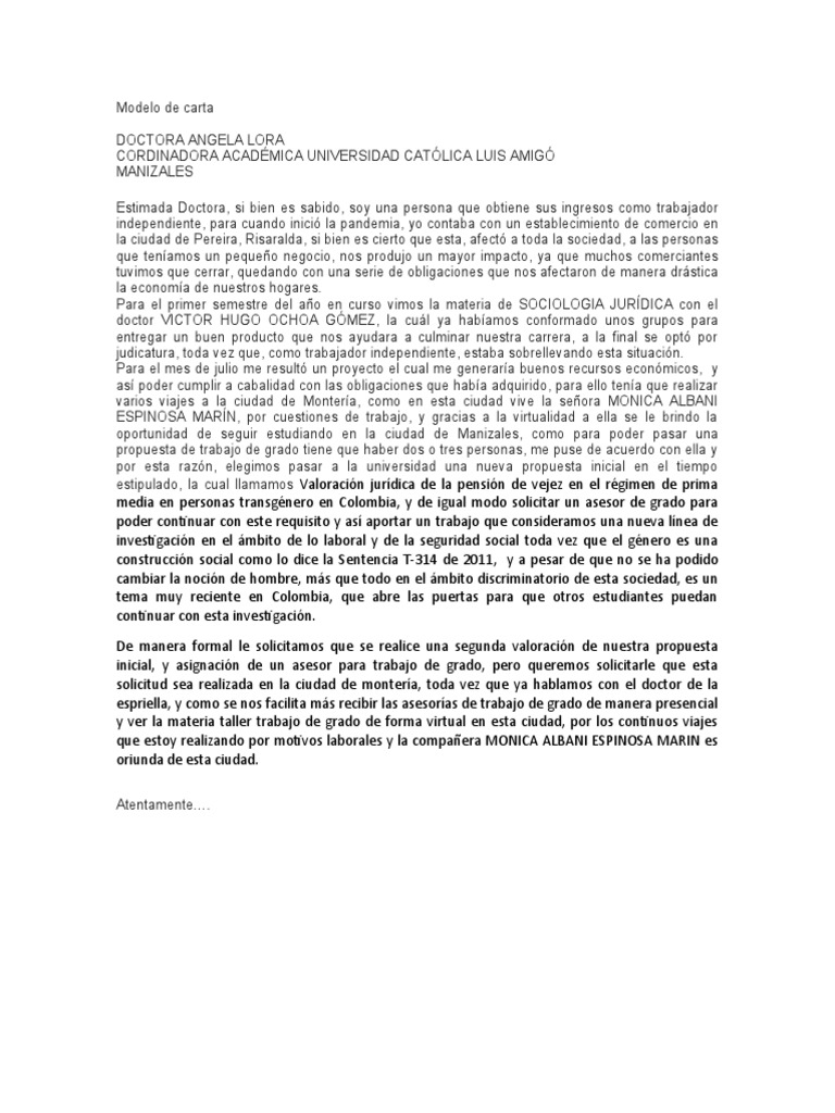 Carta Modelo Solicitud de Revisión | PDF