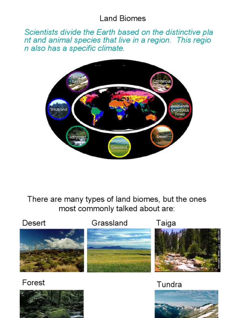 On Biomes | PDF | Grassland | Forests