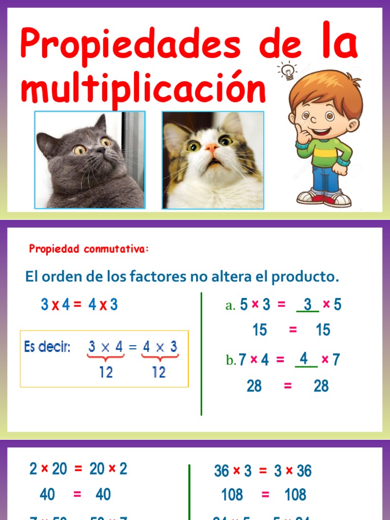 Propiedades de La Multiplicacion | PDF