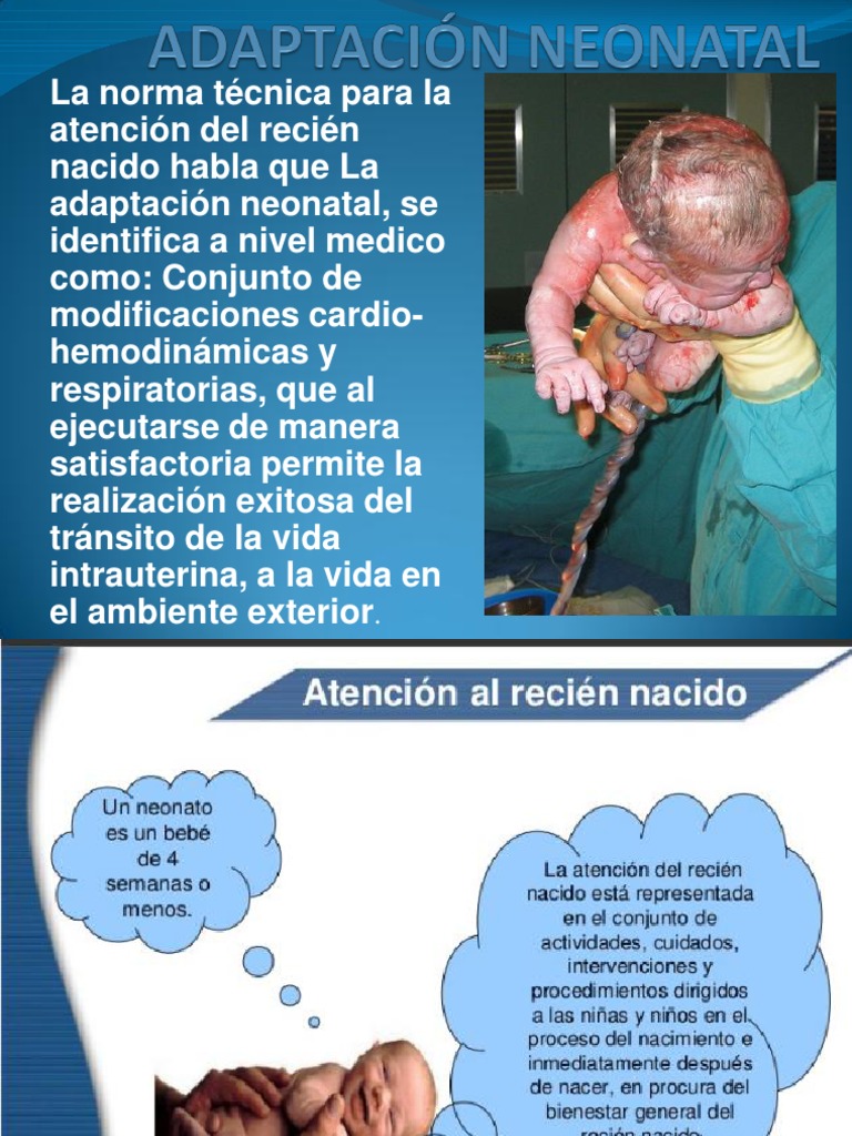 Adaptación Neonatal | PDF