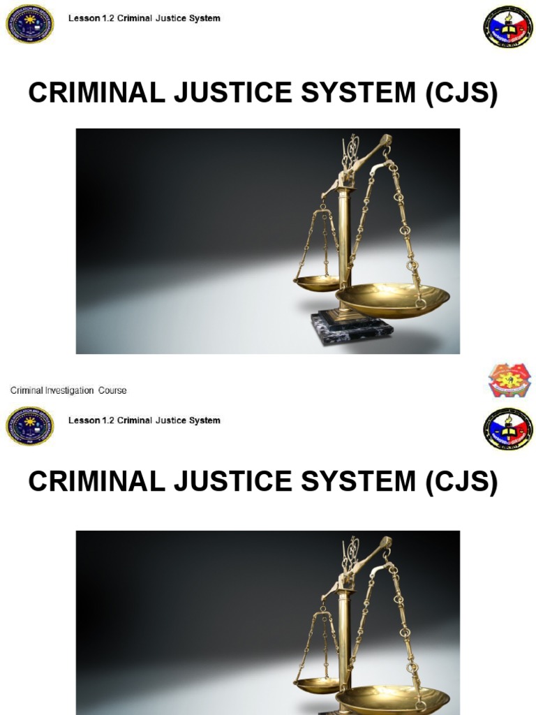 1.2 Criminal Justice System | PDF | Prosecutor | Crime & Violence