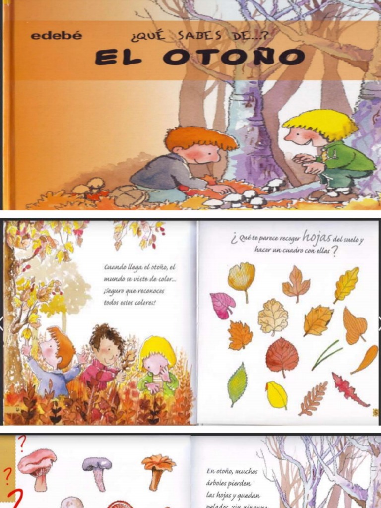 Cuento ¿Que Sabes Del Otoño | PDF