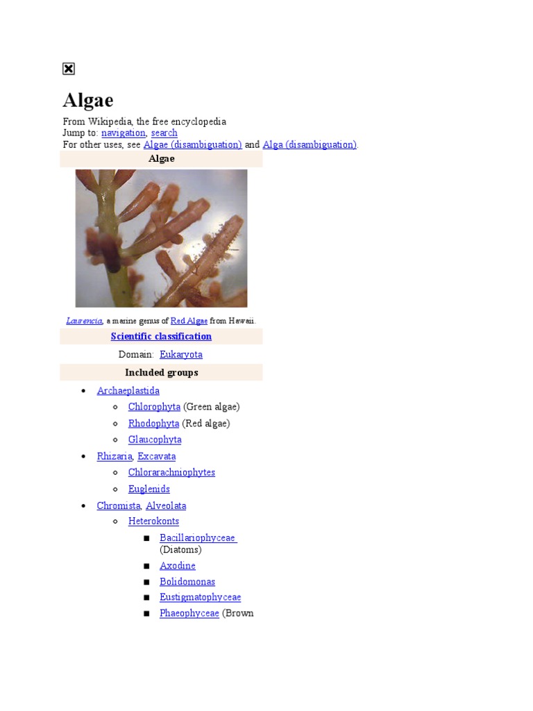 Algae Pdf Algae Chloroplast