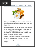 Mixed Hive Guide | PDF | Beehive | Bees