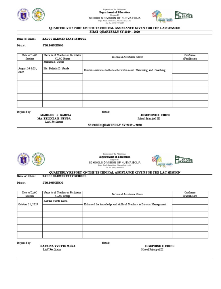 Template 11 QUARTERLY REPORT ON THE TECHNICAL ASSISTANCE GIVEN FOR THE ...