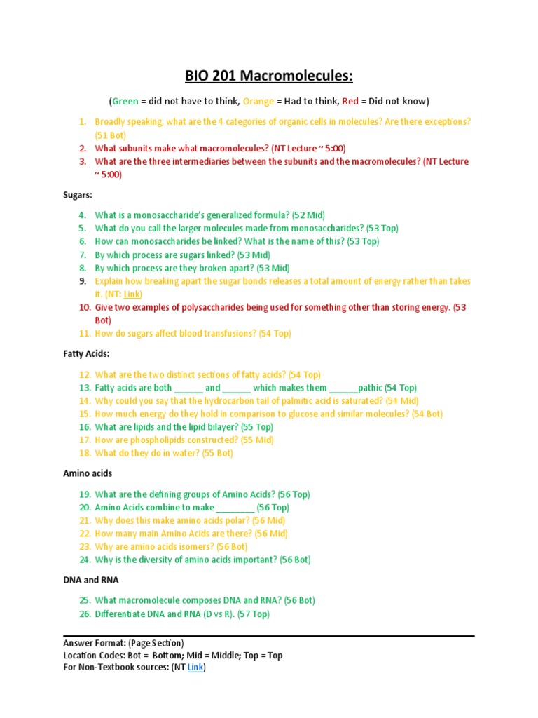 Macromolecules: The Building Blocks of Life | PDF | Macromolecules | Rna