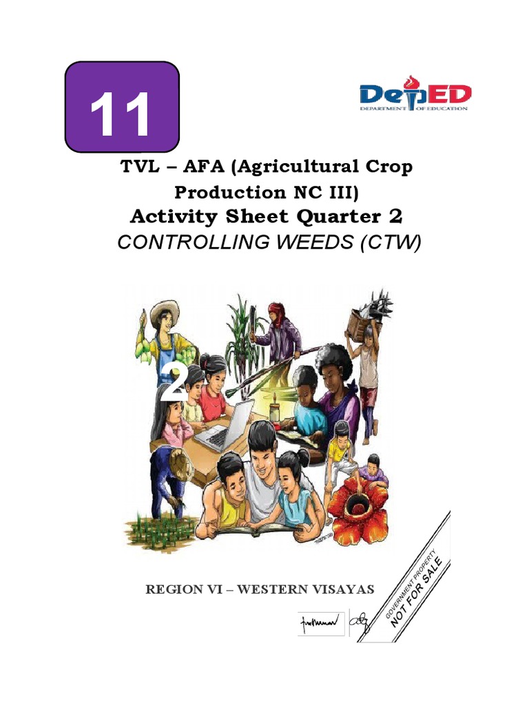 Activity Sheet Quarter 2: Controlling Weeds (CTW) | PDF | Seed | Weed