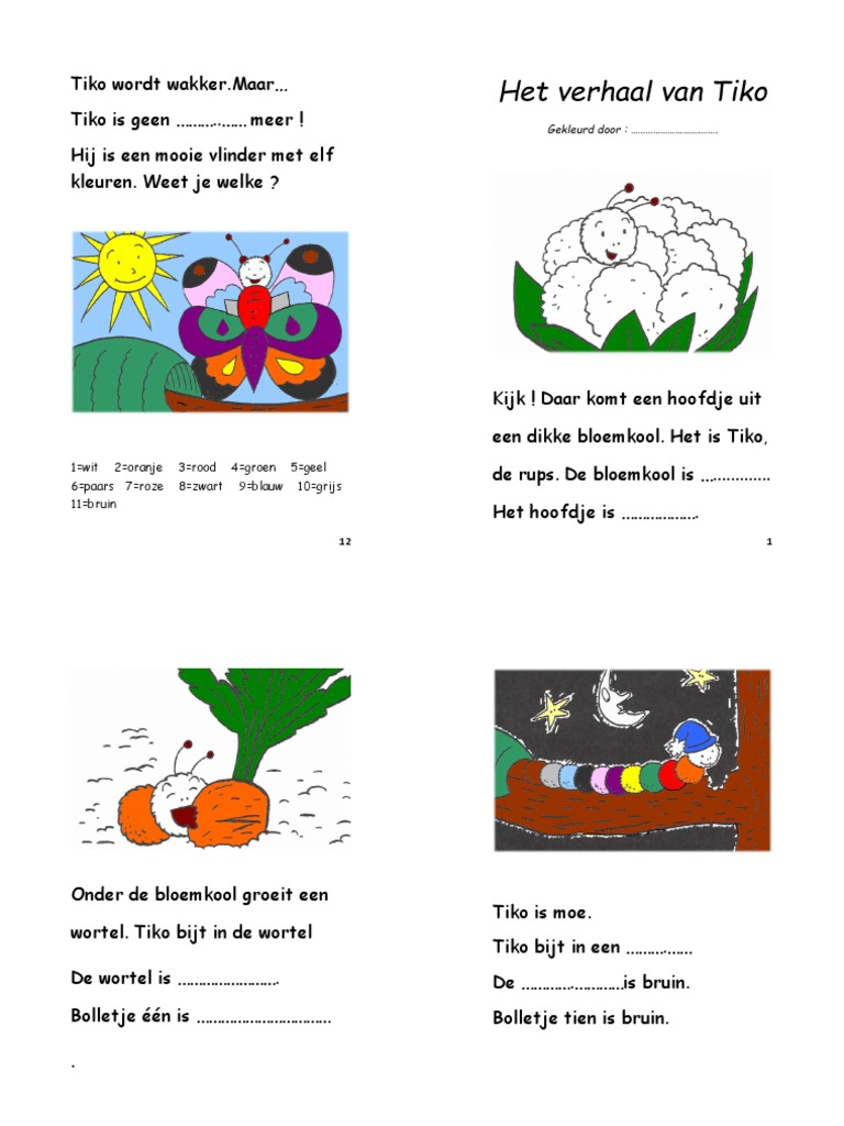 Boekje Het Verhaal Van Tiko Gekleurd | PDF