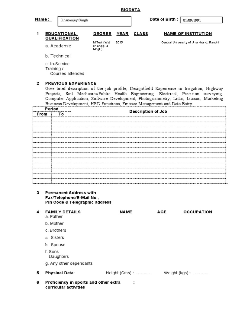 Company Bio-Data Format | PDF | Computing