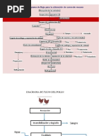 Visita Al Rastro | PDF | Carne | Matadero