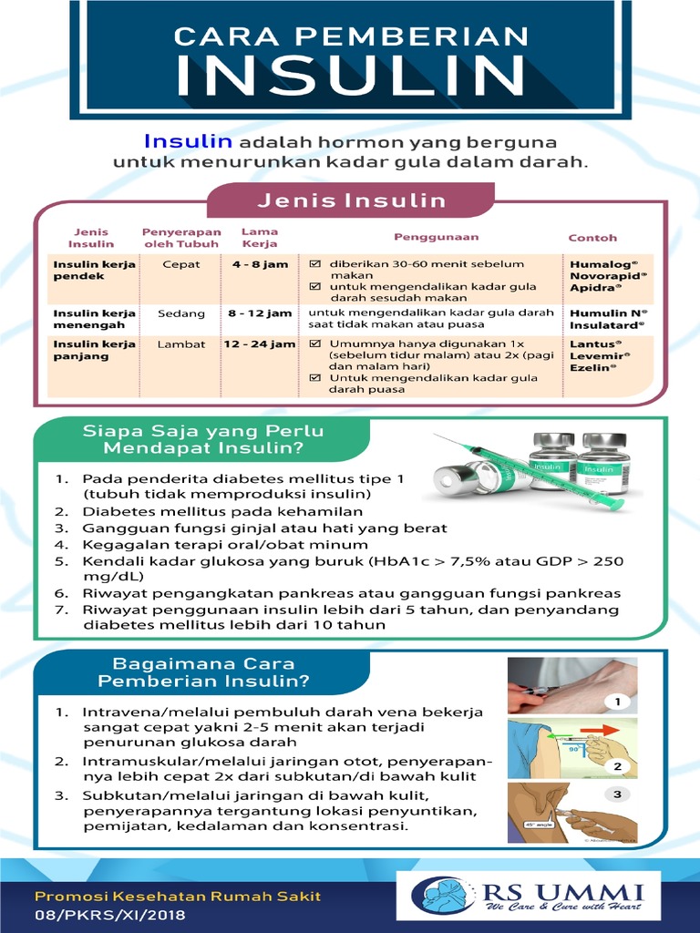 09 - Cara Pemberian Insulin (Flyer) | PDF