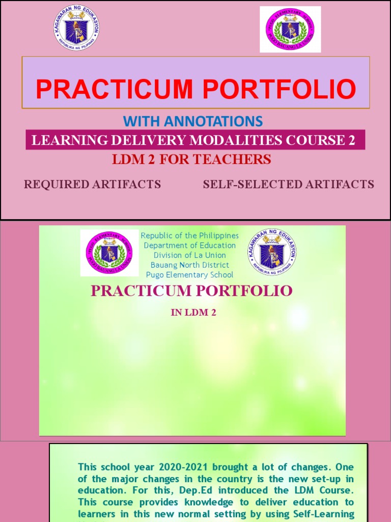Practicum Portfolio: With Annotations | PDF | Learning | Lesson Plan