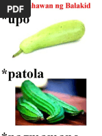 ANG LETRANG Ñ Worksheet | PDF