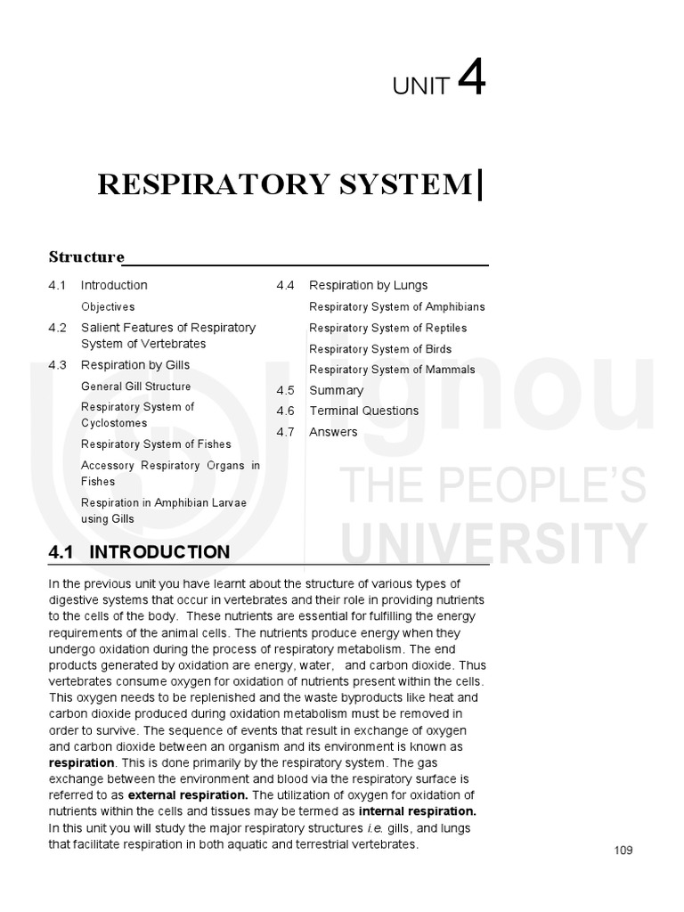 Respiratory System: Structure | PDF | Gill | Respiratory System