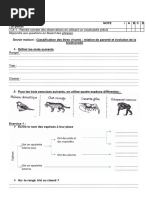 Classification Des Êtres Vivants 6ème Exercices | PDF | Espèces | Tigre