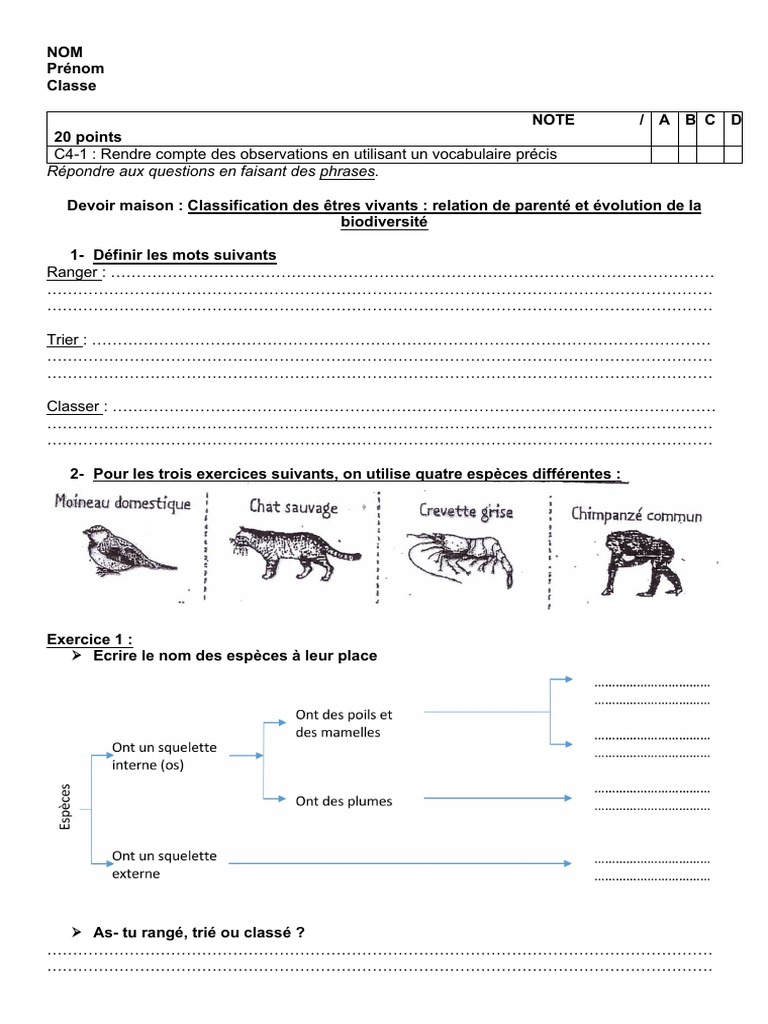 Évaluation SVT 6ème : Classification des Êtres Vivants | PDF