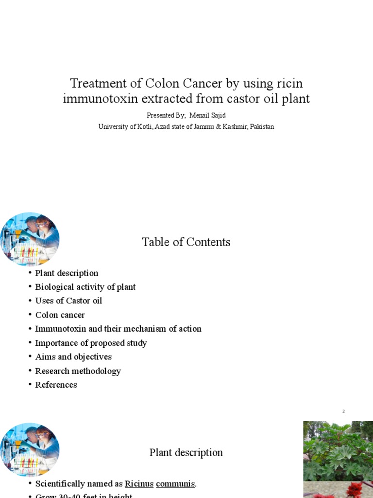 Colon Cancer Treatment by Ricin Immunotoxin | PDF | Biology | Biotechnology