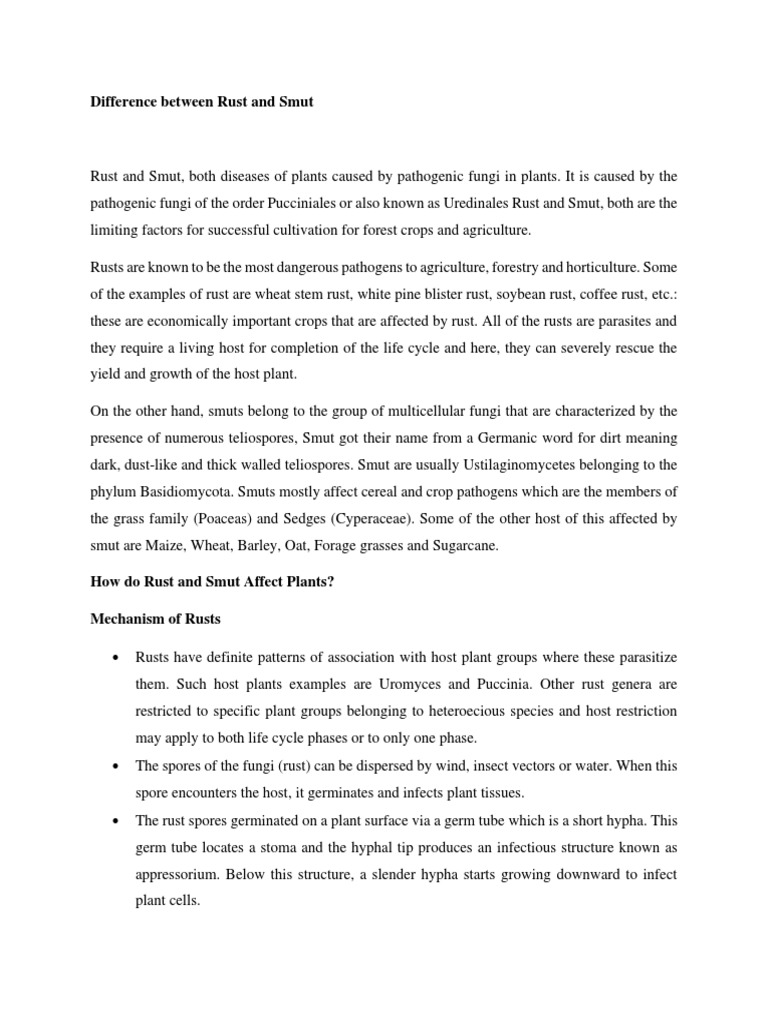 Difference Between Rust and Smut | PDF | Branches Of Botany | Fungus