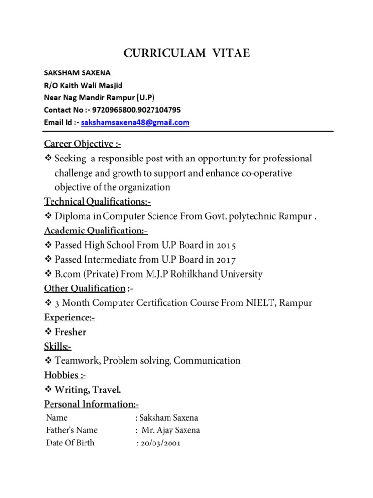 Entry-Level Tech Job Seeker | PDF